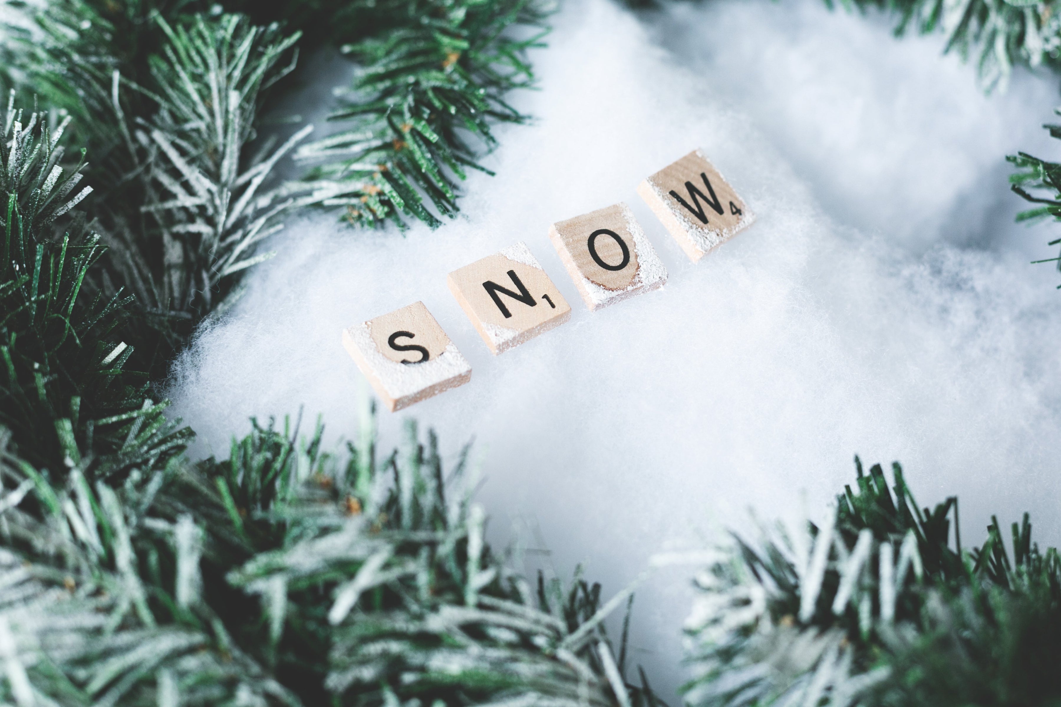 Gear Up for Winter Disc Golf! — Skybreed Discs